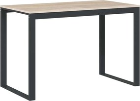 Počítačový stůl černý a dub 110 x 60 x 73 cm dřevotříska 30199