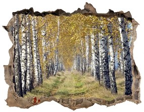 Wallmuralia Samolepící nálepka Břízy podzim 95x64 cm