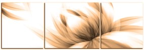 Obraz na plátně - Elegantní květ - panoráma 5147FC (90x30 cm)