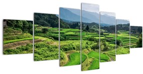 Obraz rýžových polí (210x100 cm)