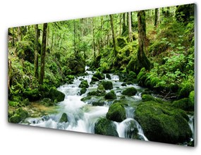 Obraz na skle Les Potok Vodopády Řeka 100x50 cm
