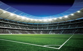 Fototapeta - Fotbalové hřiště (254x184 cm)