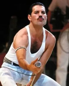 NORIMPEX Diamantové malování Freddie Mercury / 30x40 cm