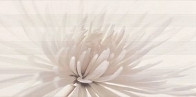 CERSANIT DEKOR AVANGARDE FLOWER WHITE 29,7x60 - OD352-001