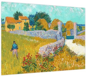 Obraz - Vincent van Gogh, Farmhouse in Provence, reprodukce (70x50 cm)