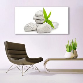 akrylový obraz Kameny Příroda 120x60 cm