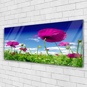 Plexisklo-obraz Louka Květiny Nebe Příroda 125x50 cm