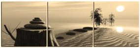 Obraz na plátně - Zen stones - panoráma 5162FB (90x30 cm)
