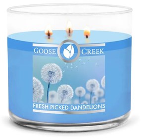 Goose Creek Candle svíčka Fresh Picked Dandelions, 411 g