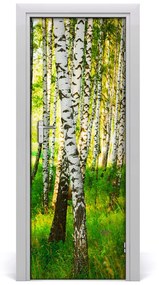 Fototapeta na dveře samolepící břízový les 85x205 cm