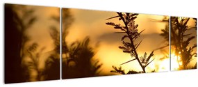 Obraz - Slunce zapadající za stromy (170x50 cm)