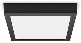 Philips - LED Stropní svítidlo MAGNEOS LED/12W/230V 2700K černá