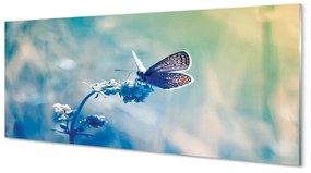 akrylový obraz barevný motýl 120x60 cm