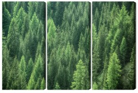 Vícedílný obraz 3D Pohled Na Zelený Les Nedostatek Nedostatek Přírodní plátno 180x120