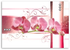 Obraz na plátně Růžová květina Orchidej - 60x40 cm