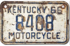 Americká SPZ Kentucky 1966 White 8408 moto