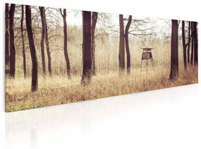Malvis ® Obraz Posed v lese Velikost (šířka x výška): 130x60 cm