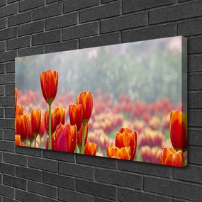 Obraz na plátně Tulipány Květiny Rostlina 140x70 cm