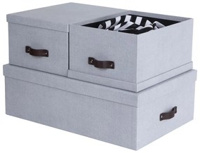 Světle šedé kartonové úložné boxy s víkem v sadě 3 ks 31x47x15 cm Inge – Bigso Box of Sweden