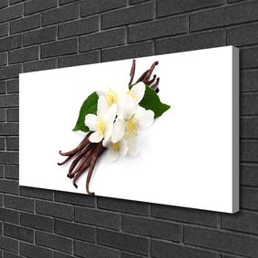 Obraz na plátně Vanilková Tyčinka do Kuchyně 100x50 cm