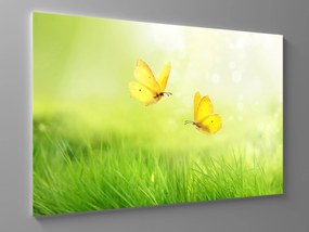 Liox Obraz žlutí motýli Rozměr: 90 x 60 cm