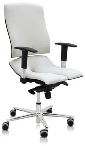Zdravotní židle Steel Standard+, bílá