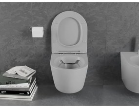 Mexen Lena WC mísa Rimless s WC deskou slim, duroplast, světle šedá matná, 30224061