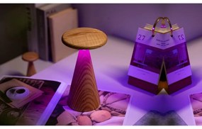 LED stolní lampa v přírodní barvě s dřevěným stínidlem (výška 21 cm) Sylva – Gingko