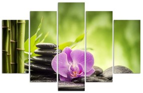 Obraz na plátně pětidílný Orchidejové zenové kameny - 200x100 cm