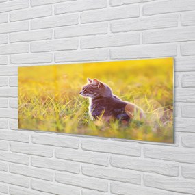 akrylový obraz lov cat 120x60 cm
