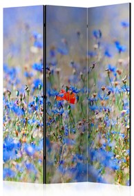Artgeist Paraván - A sky-colored meadow - cornflowers [Room Dividers] Velikosti (šířkaxvýška): 135x172
