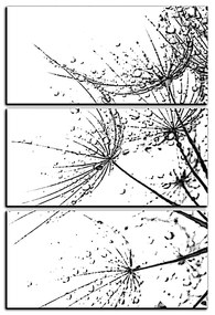 Obraz na plátně - Pampelišková semínka s kapkami vody - obdélník 7202QB (90x60 cm  )