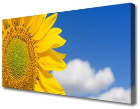 Obraz na plátně Slunečnice Mraky 125x50 cm