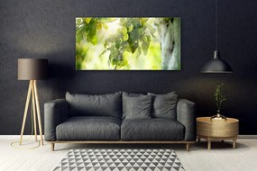 akrylový obraz Jablka Větev Strom Příroda 120x60 cm