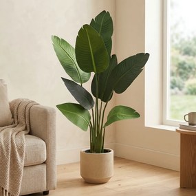 Umělá Ravanela 180 cm