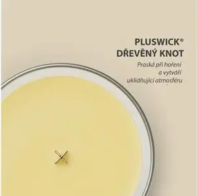 WoodWick Yuzu  Vetiver svíčka malá