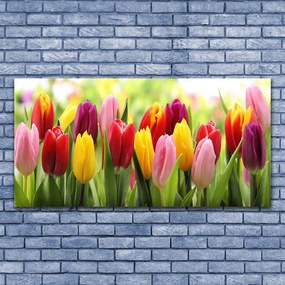 Plexisklo-obraz Tulipány Květiny Příroda 120x60 cm