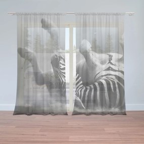 Sablio Záclony Válející se zebra: 2ks 150x250cm