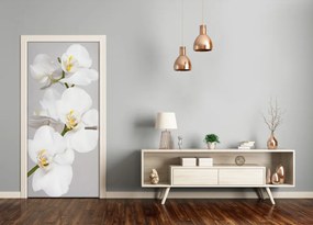 Fototapeta na dveře Bílá orchidej 95x205 cm