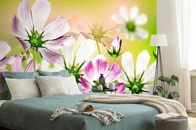 Samolepící tapeta zahradní květiny - 300x200 cm