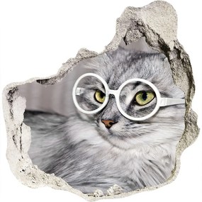 Wallmuralia Díra 3D fototapeta nálepka Kočka v brýlích 75x75 cm