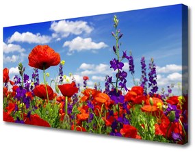 Obraz na plátně Tulipány Rostlina 100x50 cm