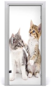 Samolepící fototapeta na dveře Dvě malé kočky 75x205 cm