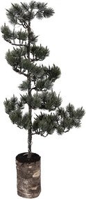 Dekorativní svítící jehličnatý stromek na podstavci Bonsai Tree LED M - 28*20*75 cm / 3*AAA