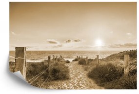 Fototapeta Letní Západ Slunce Sepia Samolepící tapety 405x270