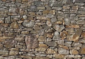 Komar Osmidílná obrazová tapeta Stone wall, 368x254cm, 8D 8-727