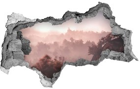 Wallmuralia Nálepka fototapeta 3D výhled Balon nad lesem 95x73 cm