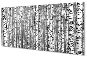 akrylový obraz Černá a bílá strom 125x50 cm
