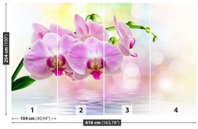 Fototapeta Orchidej růže 104x70