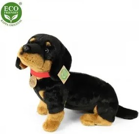 RAPPA Plyšový pes jezevčík 30 cm / ECO-FRIENDLY / od 0 měsíců